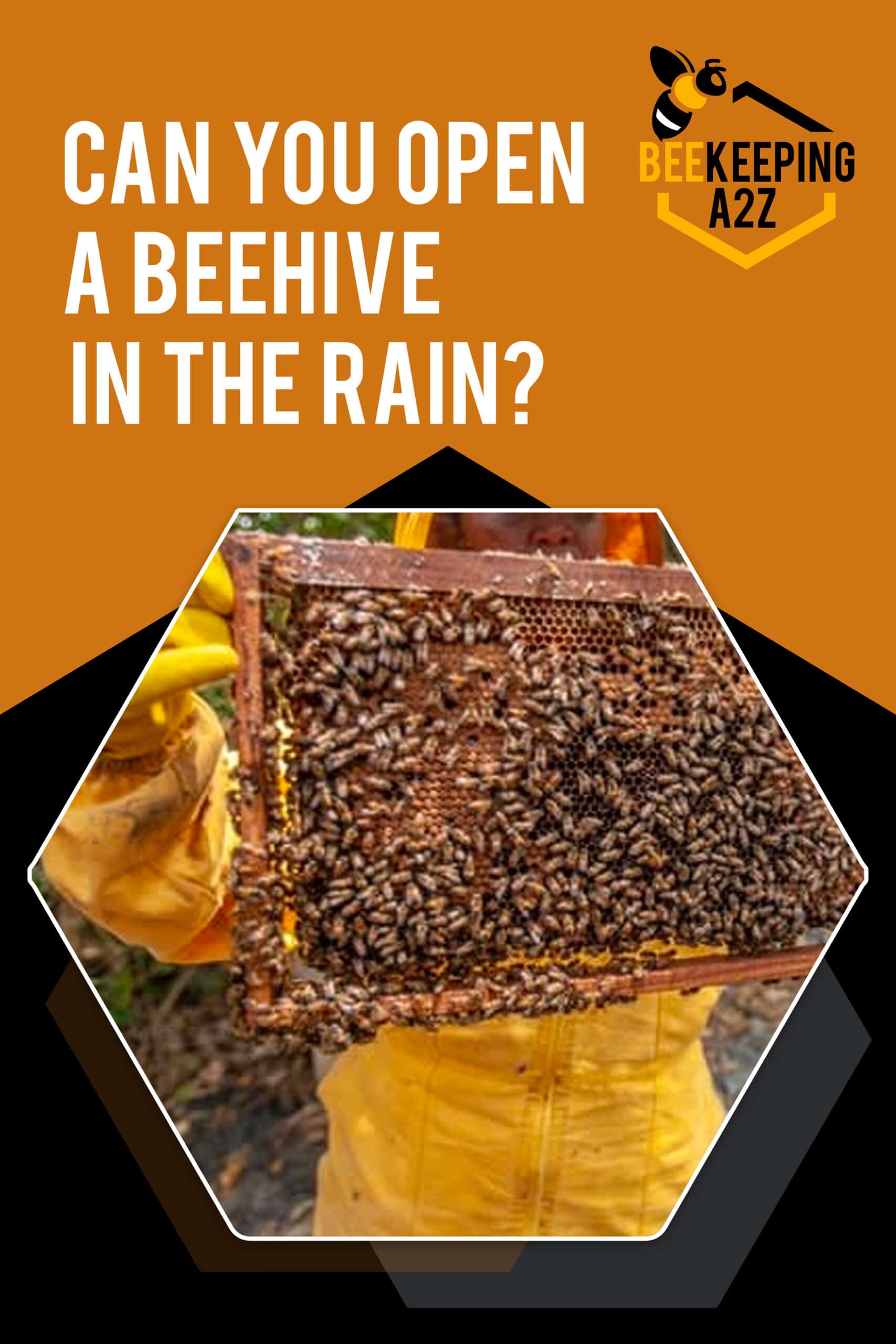 Can you open a beehive in the rain? [ Detailed Answer ]